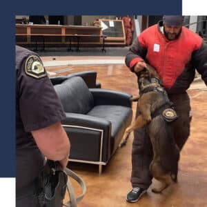 Police K9 Handler Training - Harrisville Working Dogs Ogden Utah